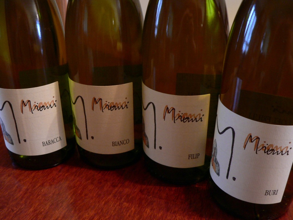 VIPa-2 第七場 — 重訪 Miani | 心無罣礙 - 抱青