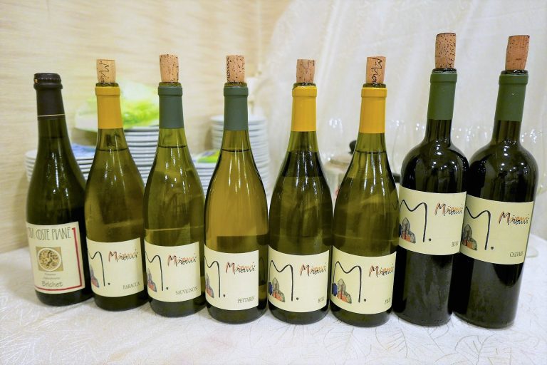 VIPa-6 第 22 場 — Miani Again | 心無罣礙 - 抱青